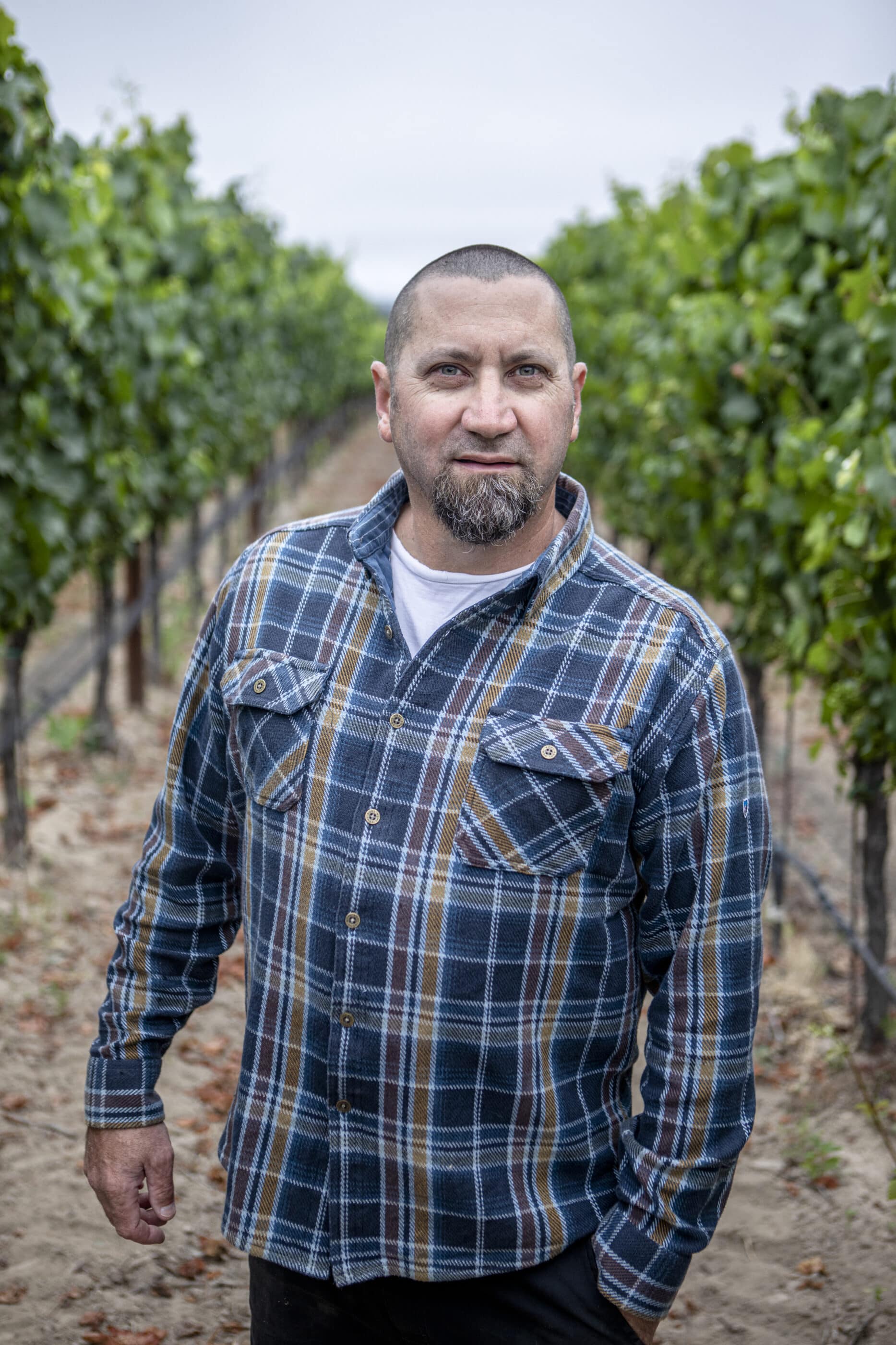 Press & Trade - Three Sticks Wines